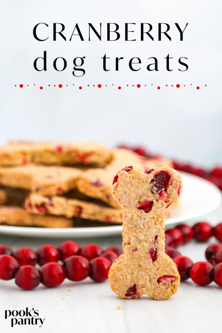 Cranberry dog treats recipe - Pook's Pantry Recipe Blog