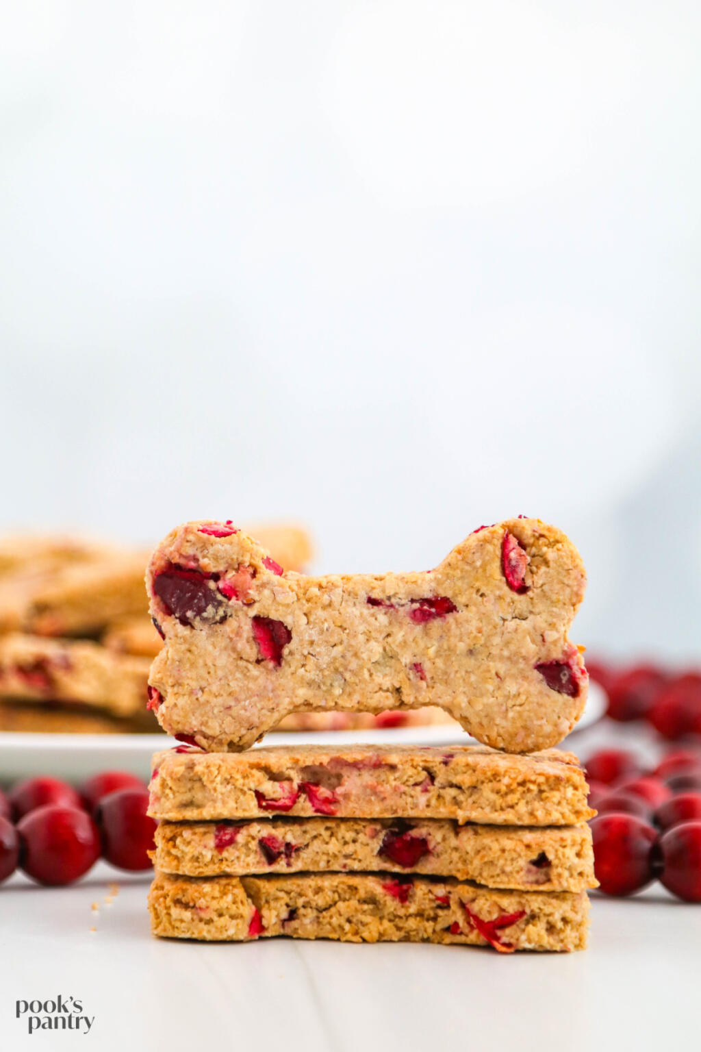 Cranberry dog treats recipe - Pook's Pantry Recipe Blog